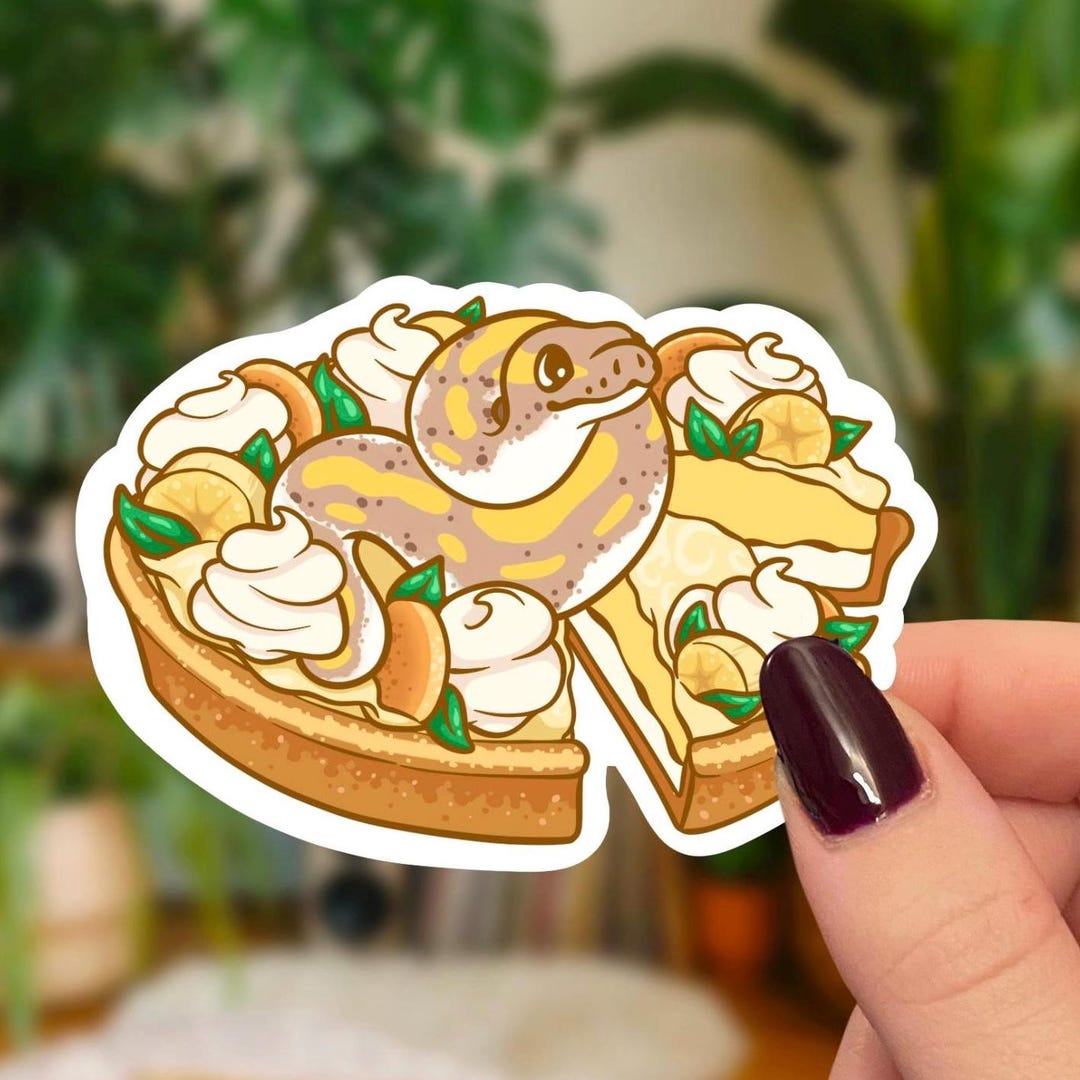 Pied Banana Ball Python on a Banana Pie Sticker - Etsy