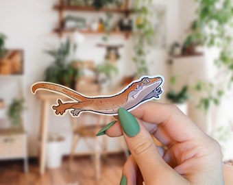 Funny Crested Gecko Sticker, Funny Crestie Sticker, Funny Gecko, Flying ...