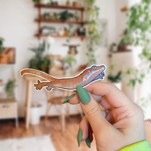 Crested Gecko on a Mushroom Sticker Crested Gecko Sticker - Etsy