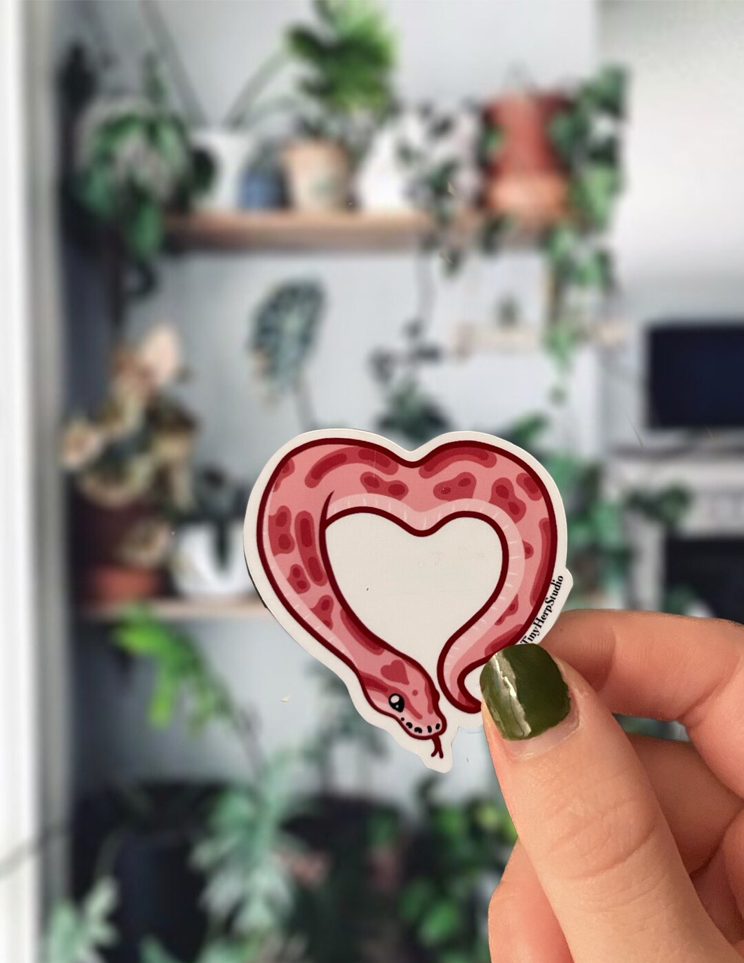 Ball Python Heart Sticker - Etsy