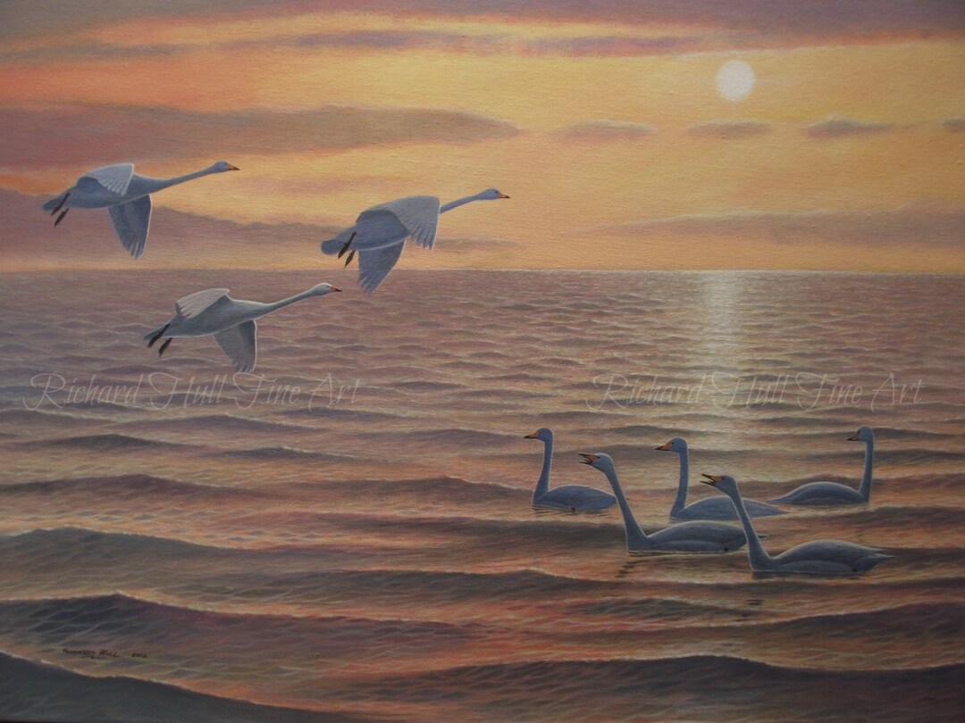 Whooper Swans on the Sea 2012 Original Painting Acrylic on Canvas ...