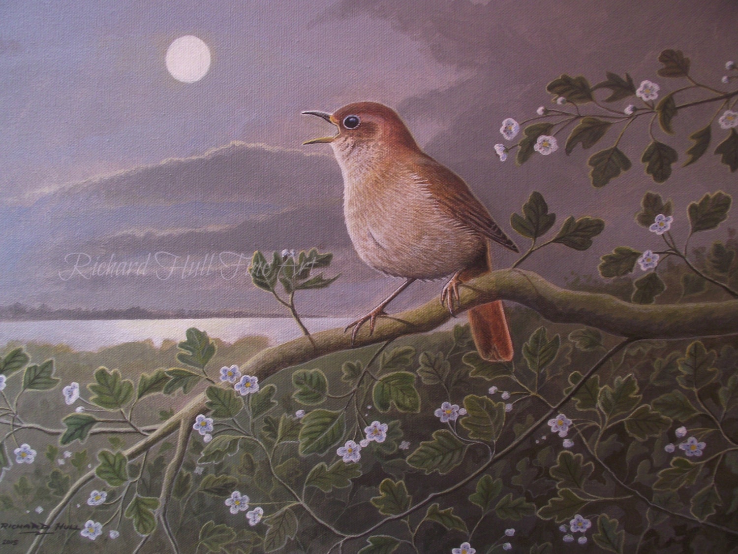 Singing Nightingale at Fingringhoe, Essex, 2015, Acrylic on Canvas ...