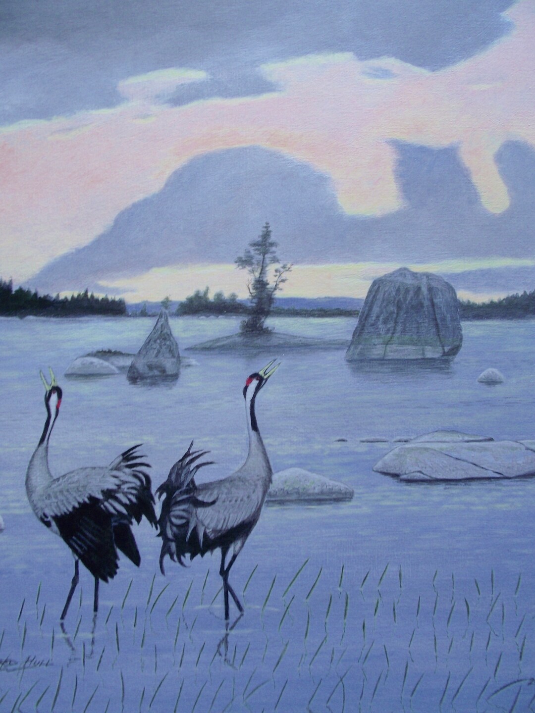 Displaying, Cranes, 2022, A4, Limited Edition, Giclee, Print, Richard ...
