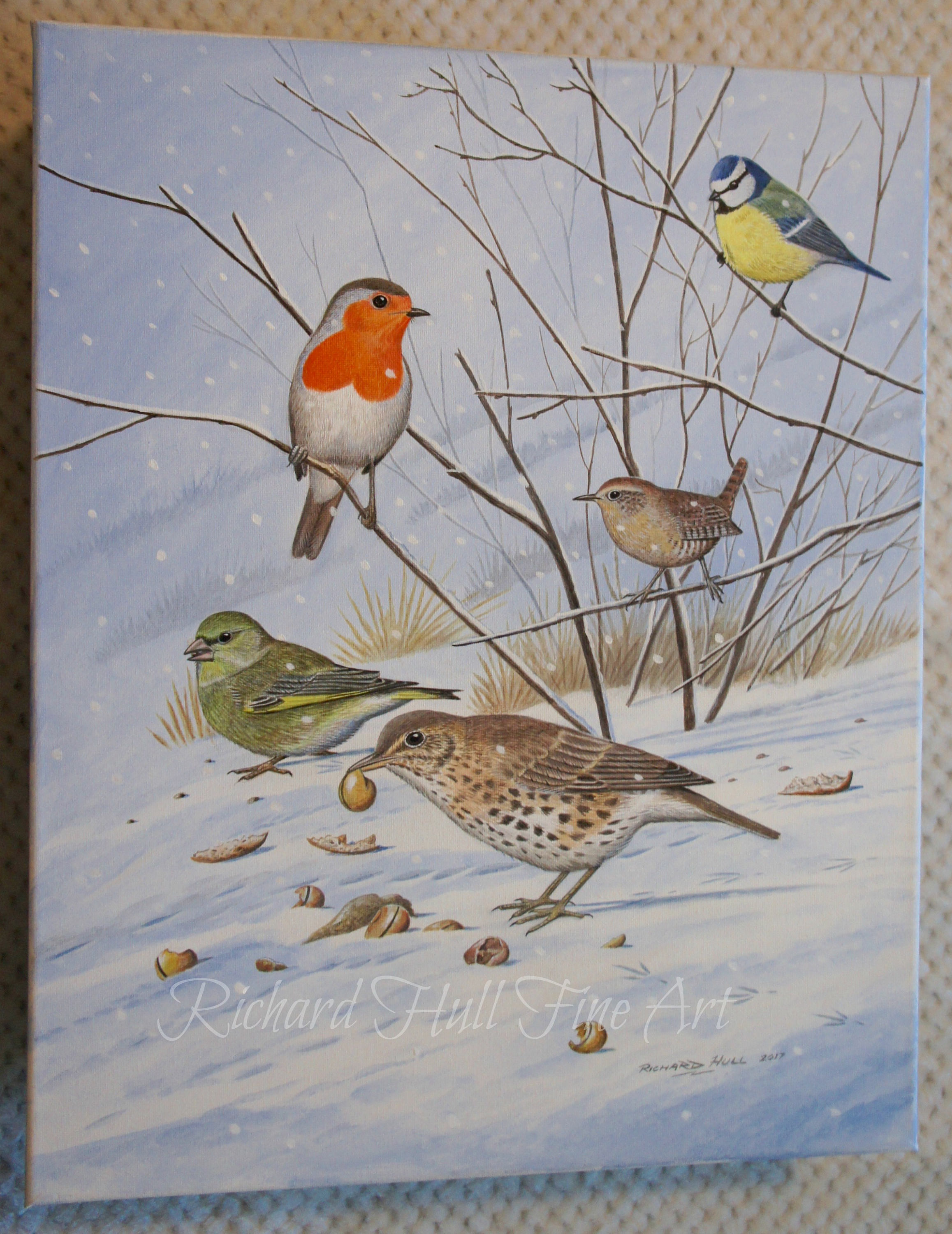 Blue Tit, Wren, Robin, Greenfinch and Song Thrush, Original Art ...