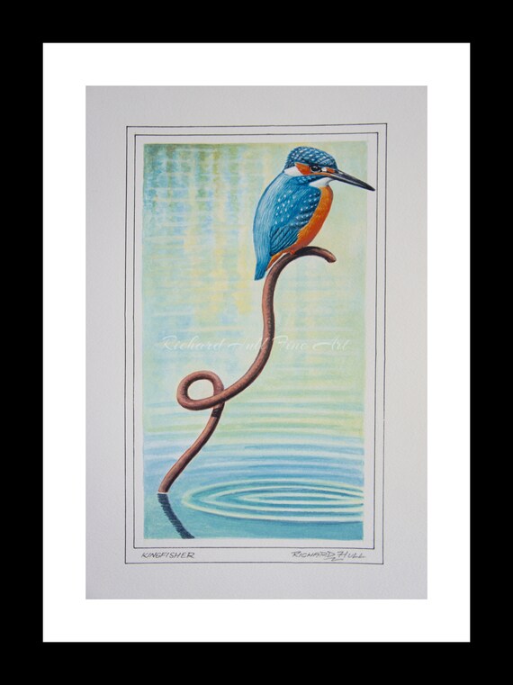 Kingfisher Limited Edition A4 Giclee Print Richard Hull | Etsy