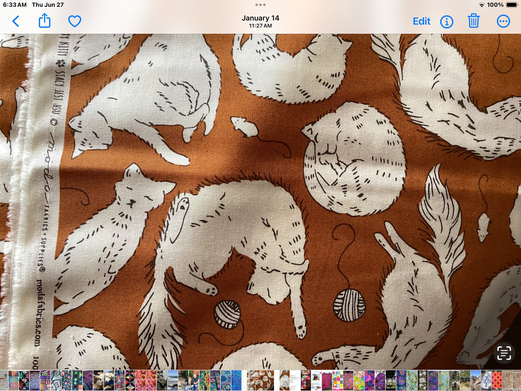 A One Block Wonder Featuring Kitty Cats, Can Be Personalized and Gift ...
