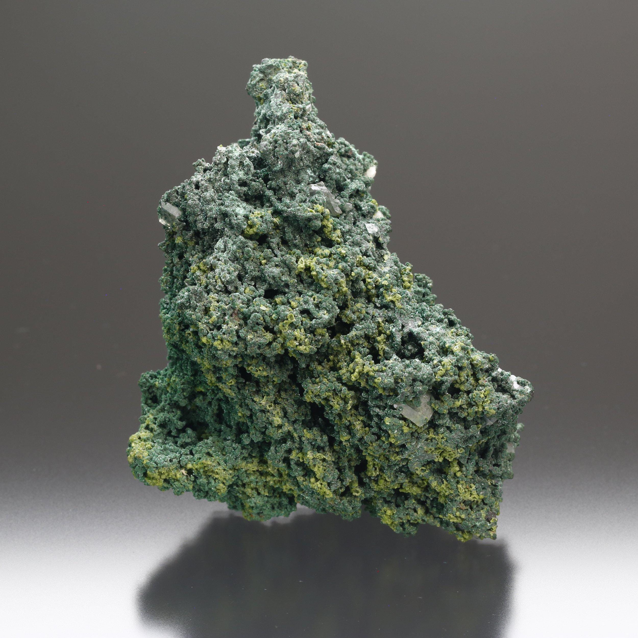 Wulfenite on Mottramite, Tsumeb Mine, Tsumeb, Oshikoto Region, Namibia ...