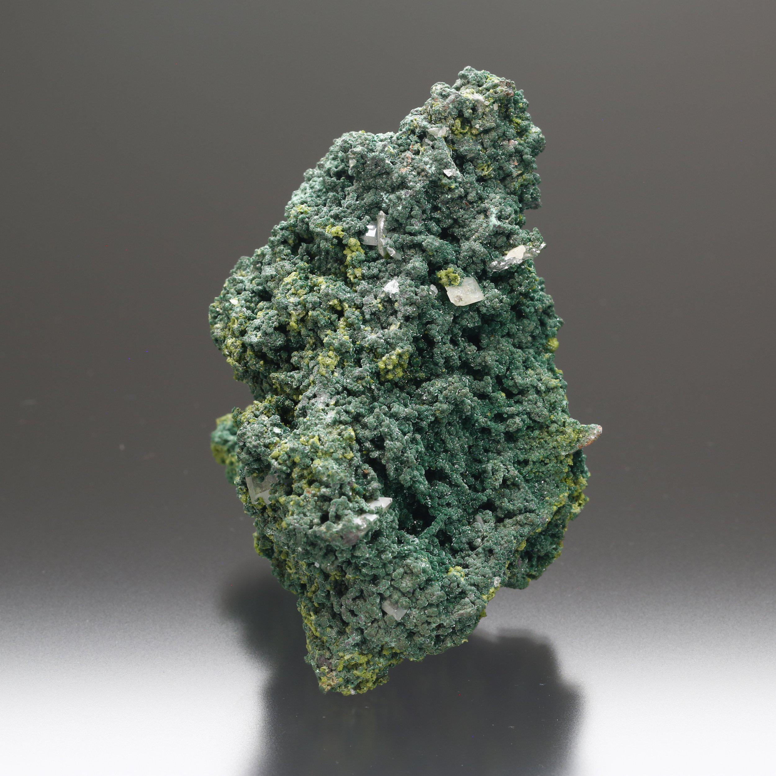 Wulfenite on Mottramite, Tsumeb Mine, Tsumeb, Oshikoto Region, Namibia ...