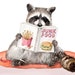Raccoon Reading a Book junk Food. Funny Animal Art - Etsy
