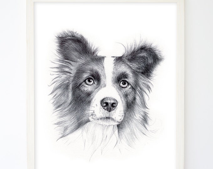 Pet Portrait Custom Pet Portrait Drawing From Photo Pet - Etsy