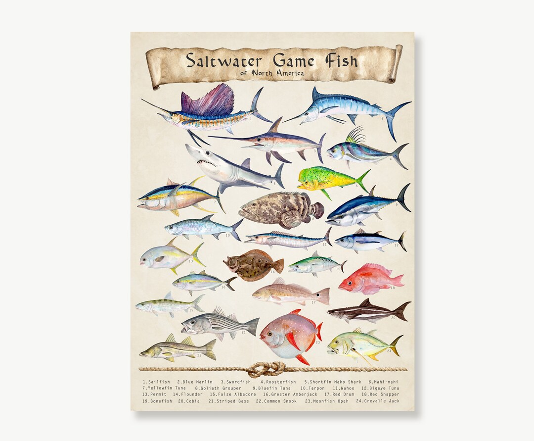 Saltwater Fish Poster, Ocean Fish Art, Deep Sea Fishing Gifts for Men ...