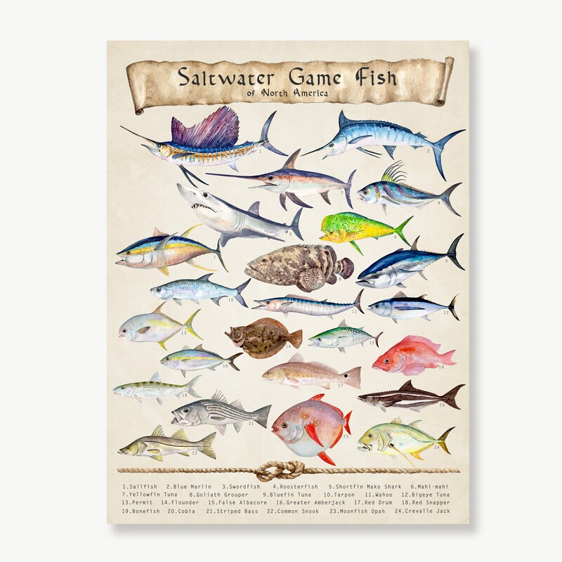 Deep Sea Fishing - Etsy