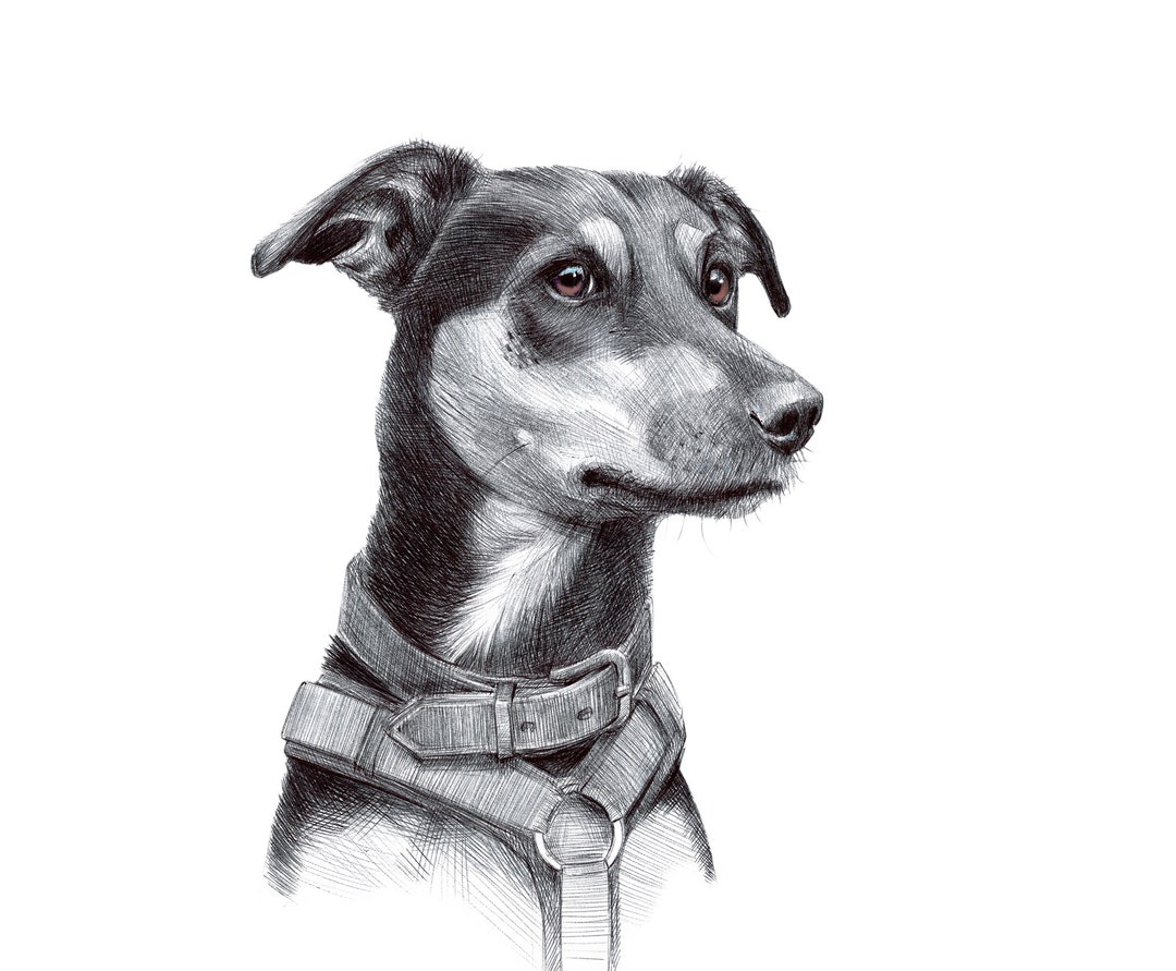Hand-drawn Pet Portrait, Custom Pet Portrait, Dog Portrait, Pencil ...