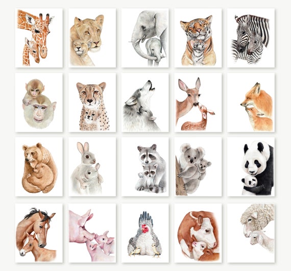 Baby Farm Animals With Their Mothers