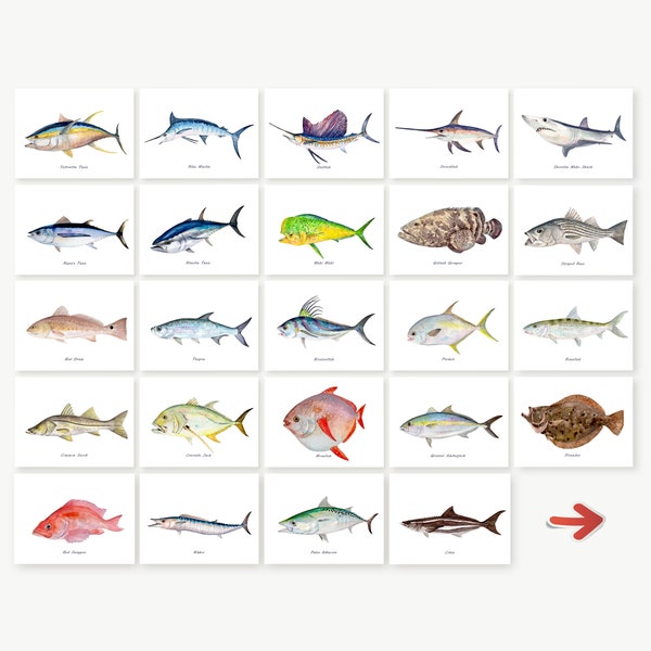 Saltwater Fish Art - Etsy