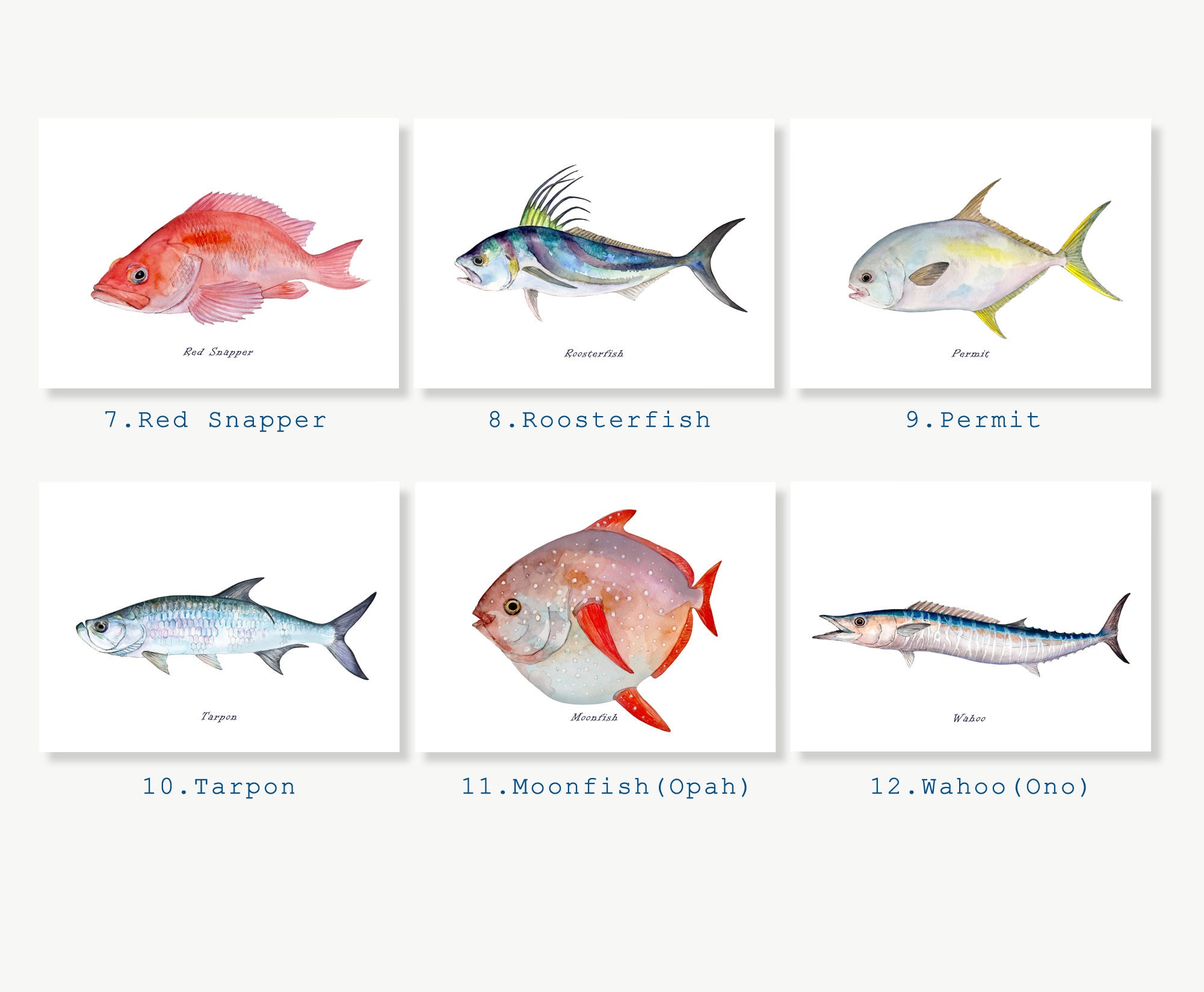 Saltwater Fish Wall Art, Ocean Fish Prints, Fishing Gifts, Angler Fish ...