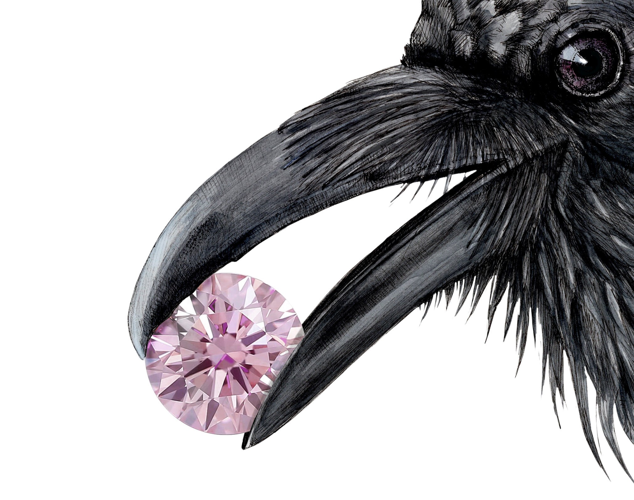 Raven With a Diamond Raven Art Print Crow Print Poster - Etsy Canada