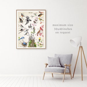 North American Birds Poster, Backyard and Wild Birds, Bird Painting ...