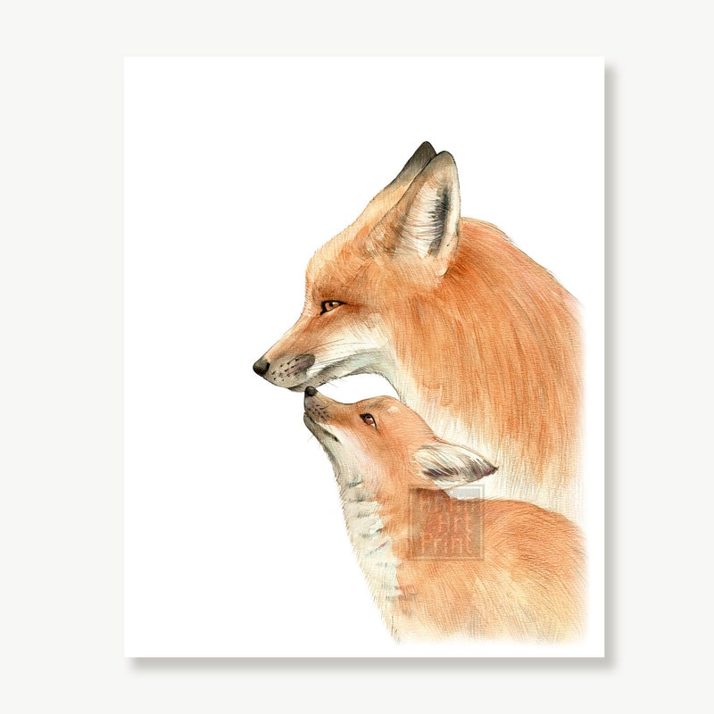 Baby Fox - Etsy