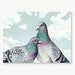 North American Birds Poster, Backyard and Wild Birds, Bird Painting ...