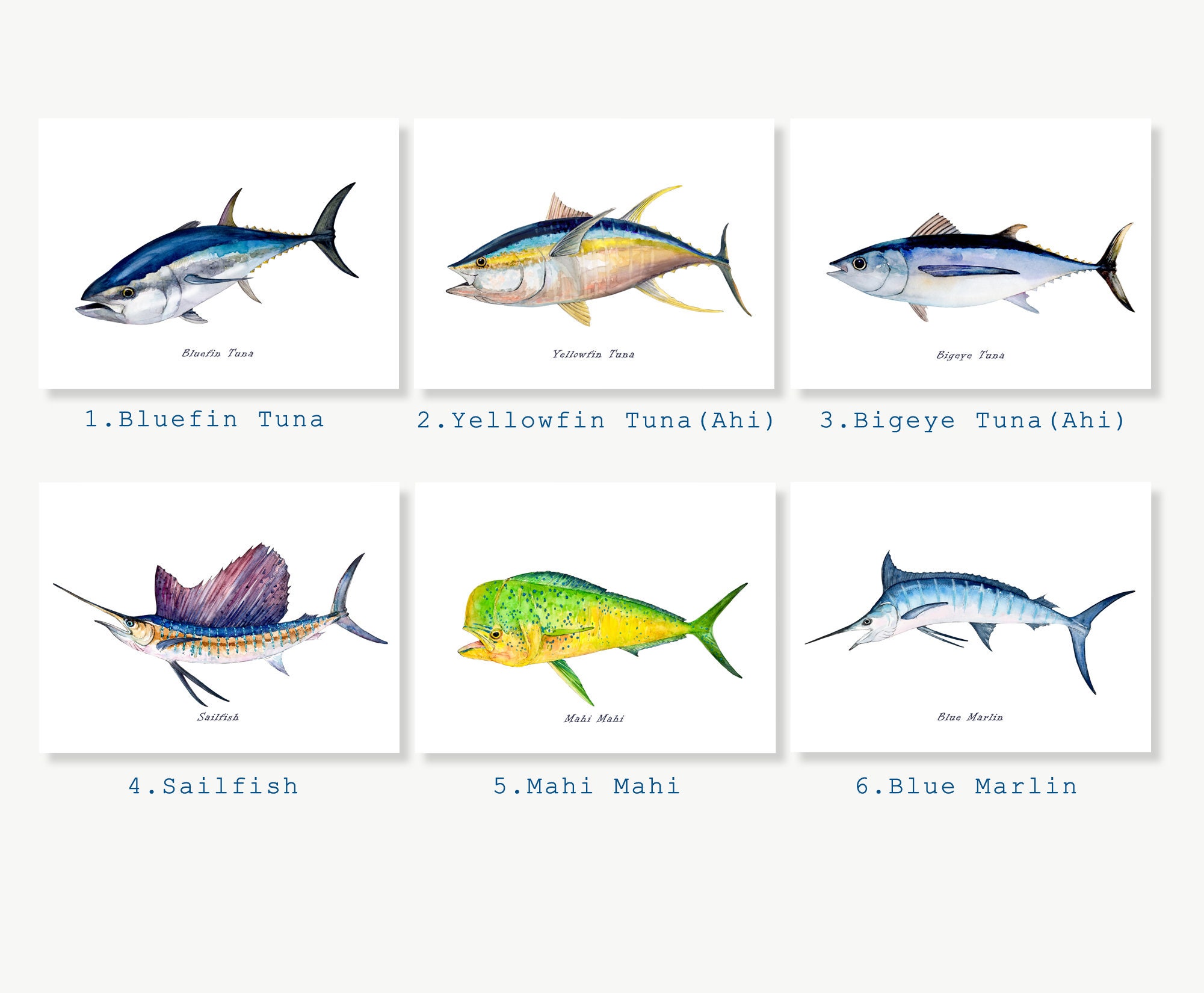 Saltwater Fish Wall Art, Ocean Fish Prints, Fishing Gifts, Angler Fish ...
