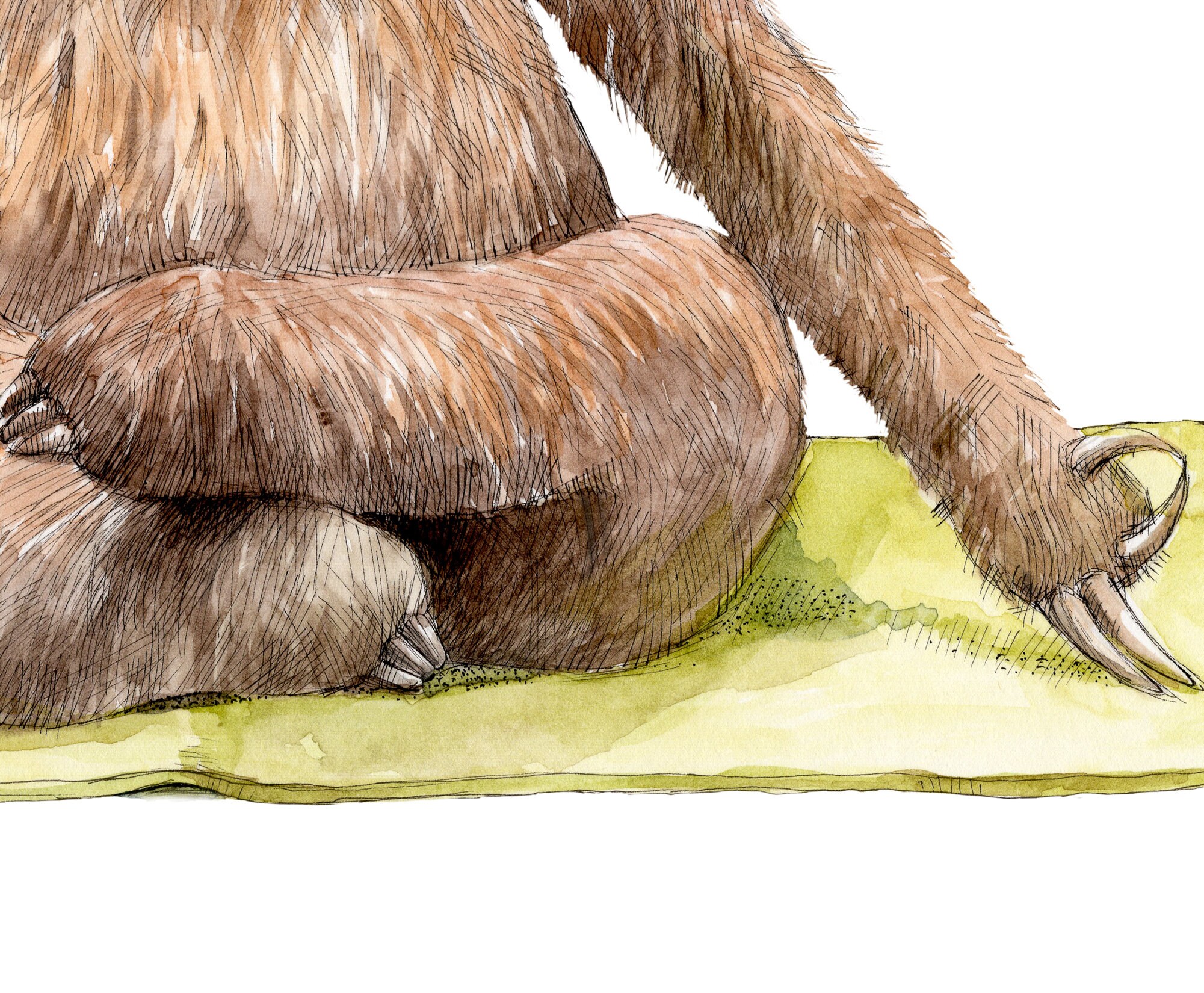 Sloth Yoga Art Print Funny Animal Poster Sloth in Yoga Pose | Etsy