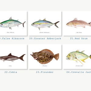 Fishing Art Print Set, Ocean Fish Art, Fish Paintings Watercolor ...