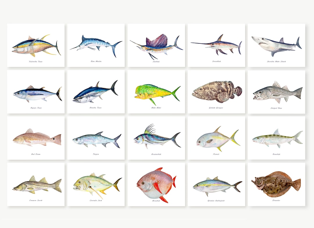 Saltwater Fish Wall Art Ocean Fish Prints Fishing Gifts - Etsy