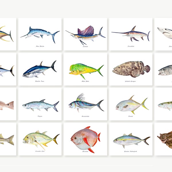 Saltwater Fish Art - Etsy