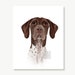 German Shorthaired Pointer Poster Dog Art Print Watercolor | Etsy