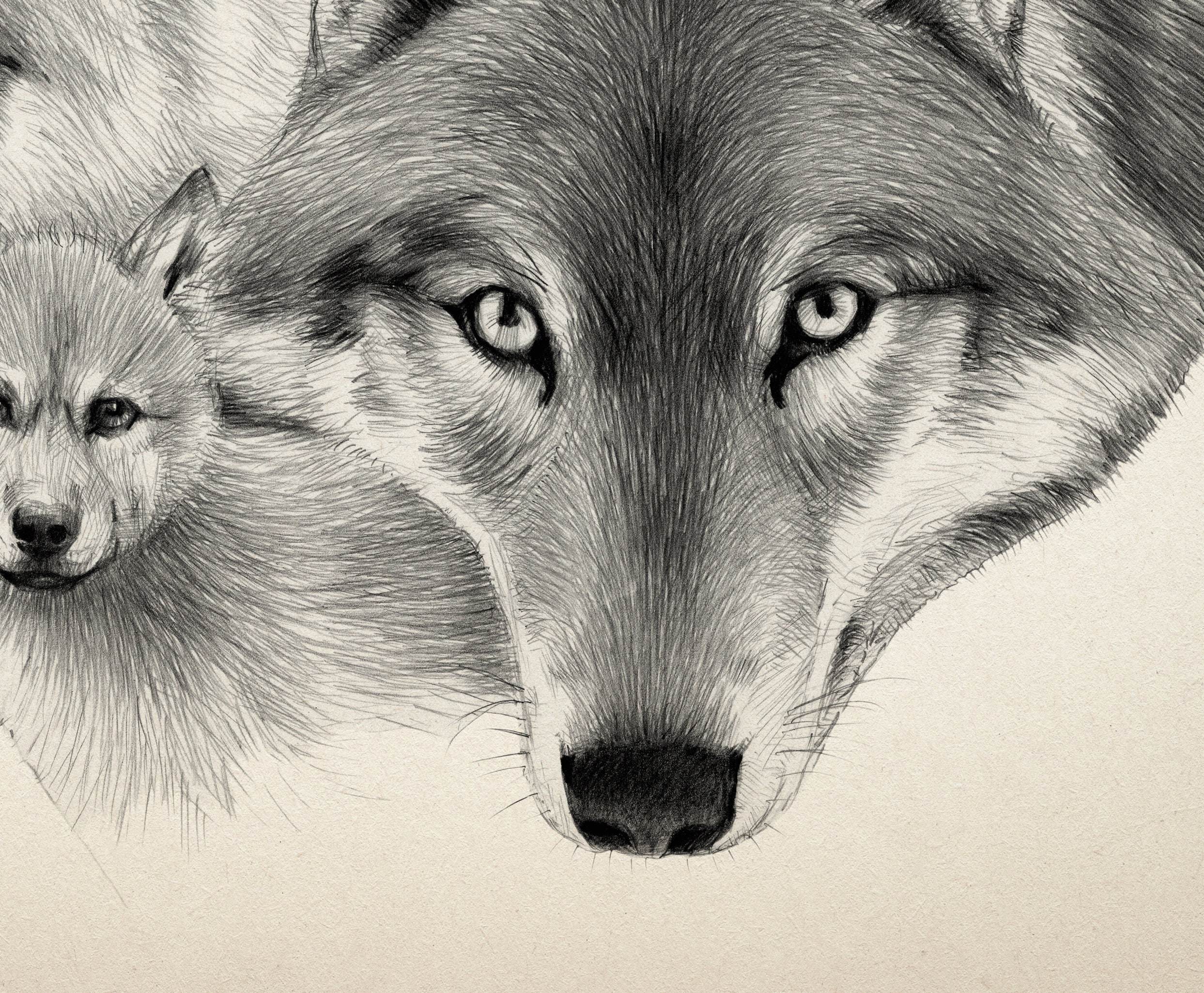 Anime Wolf Drawings In Pencil