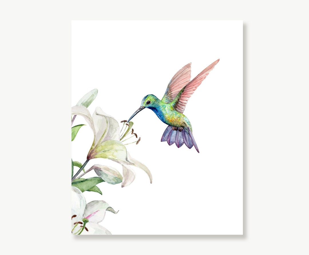 Hummingbird and Flower, Bird Art, Botanical Print, Bird & Flower ...