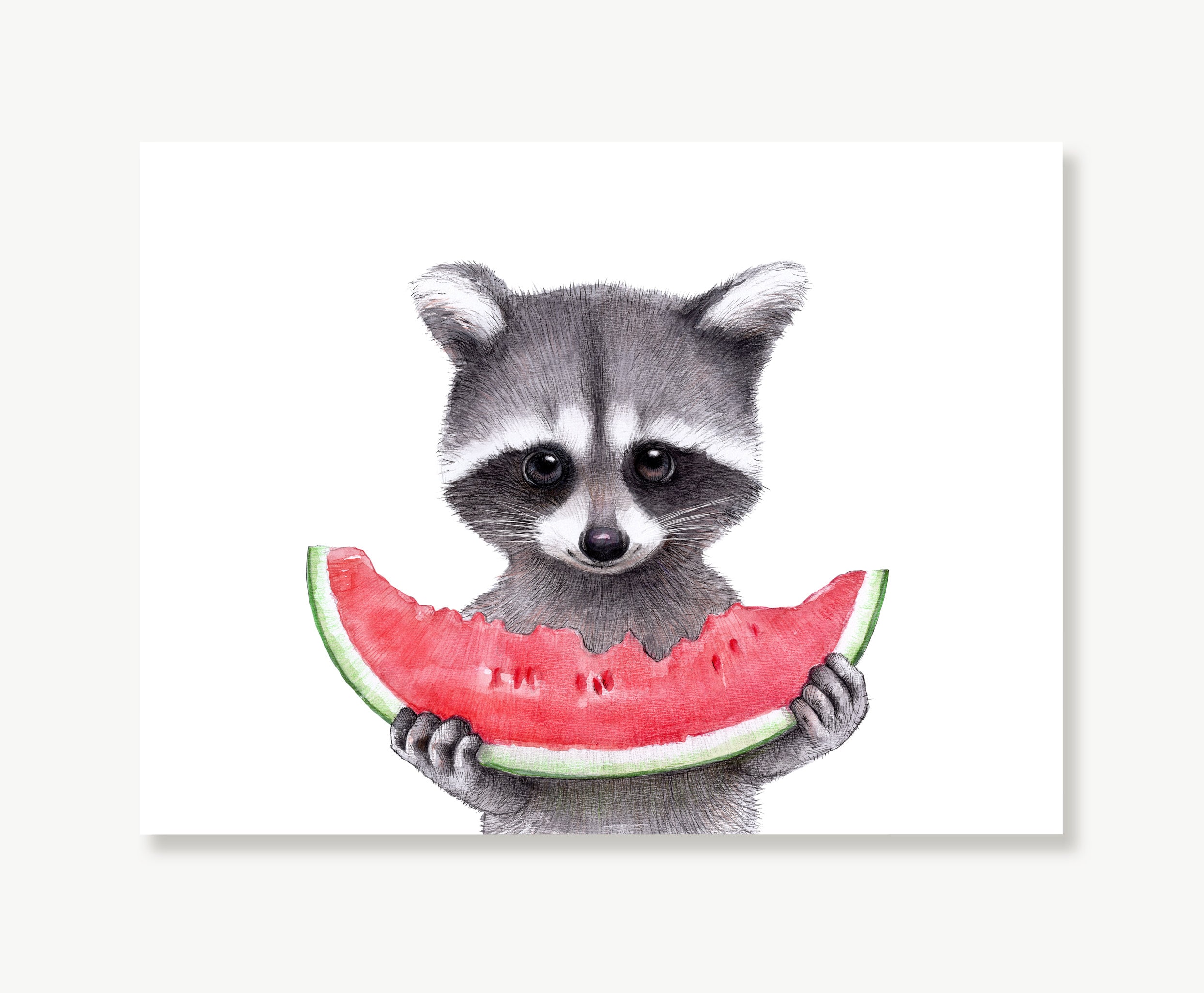 Baby Raccoon With Watermelon Cute Raccoon Print Woodland - Etsy