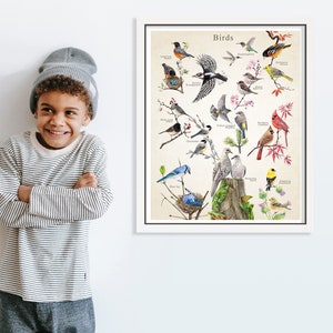 North American Birds Poster, Backyard and Wild Birds, Bird Painting ...