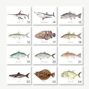 Saltwater Fish Wall Art, Ocean Fish Prints, Fishing Gifts, Angler Fish ...