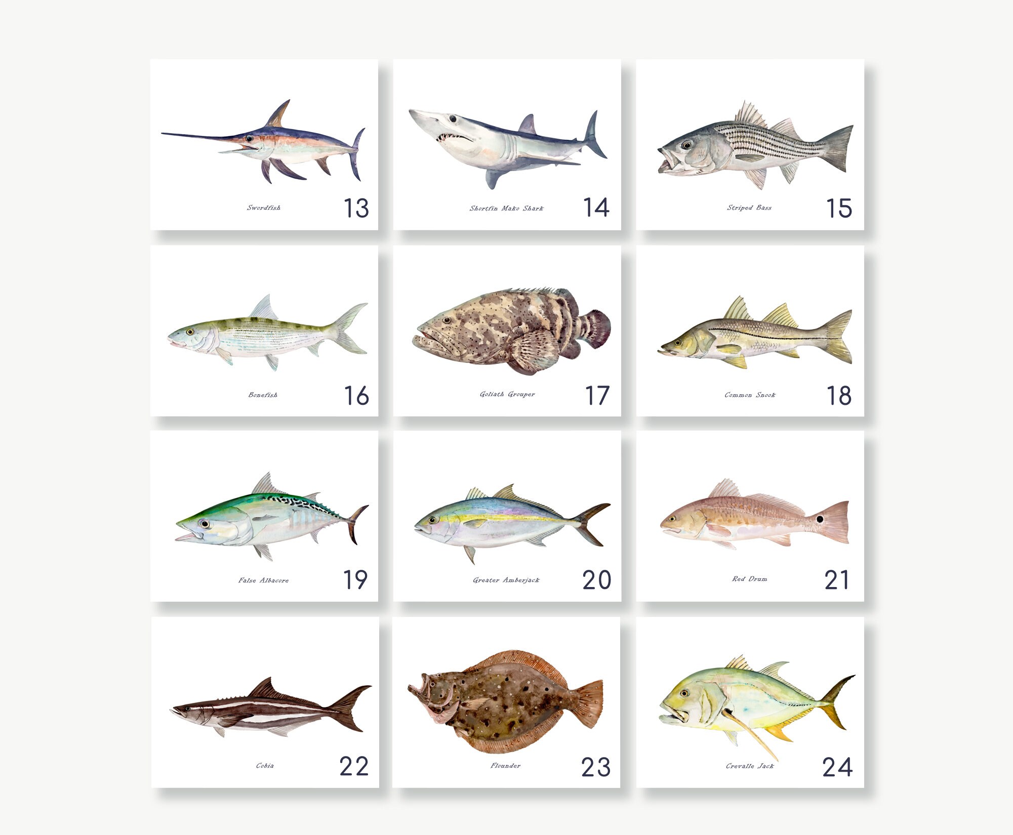 Saltwater Fish Wall Art, Ocean Fish Prints, Fishing Gifts, Angler Fish ...