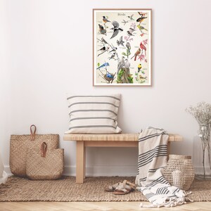 North American Birds Poster, Backyard and Wild Birds, Bird Painting ...