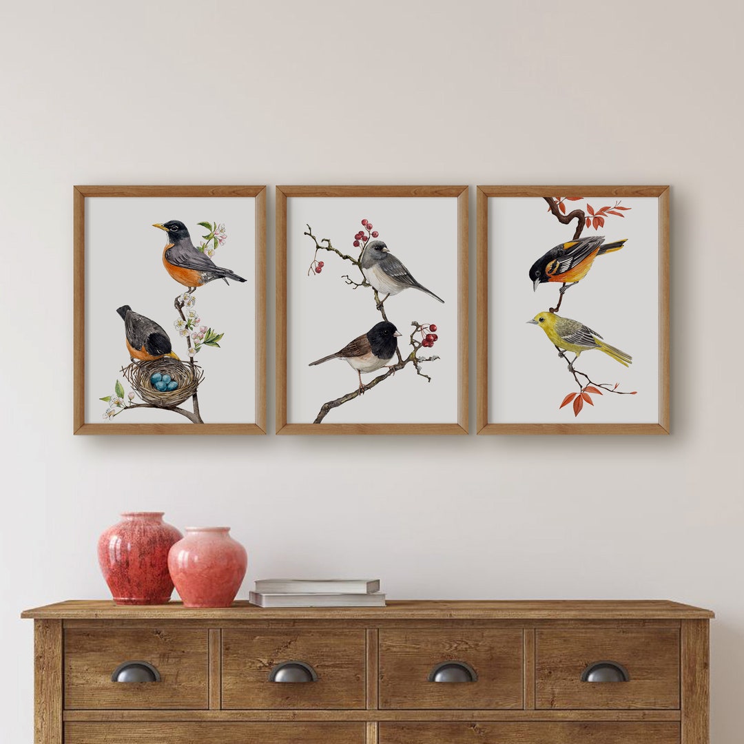 Bird Art, Print Set of Hand Painted Artworks, Watercolor, Wall Art for ...