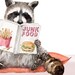 Raccoon Reading a Book junk Food. Funny Animal Art - Etsy