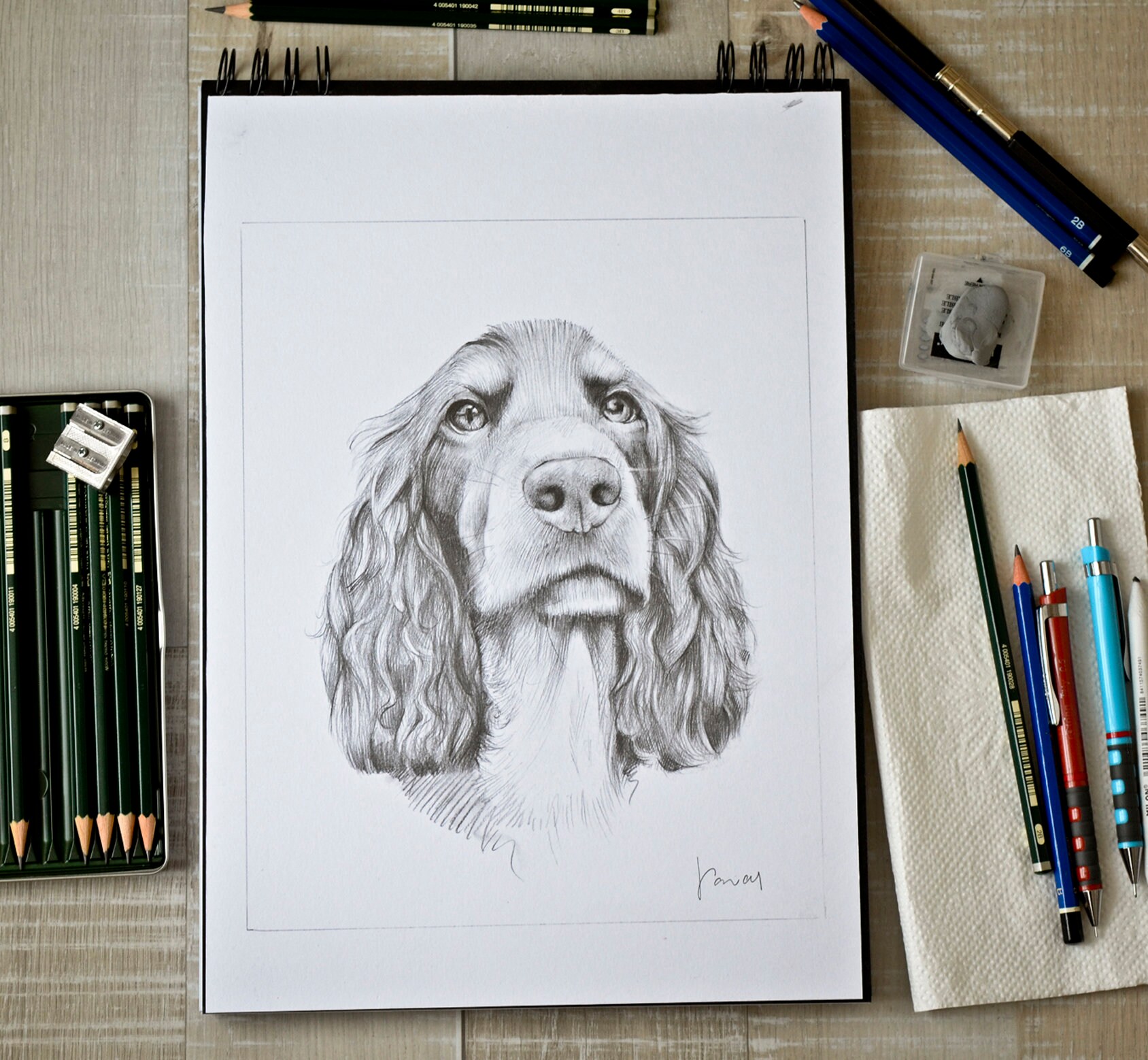 Pet Portraits CUSTOM Realistic Pet Portrait Coloured Pencil Drawing ...