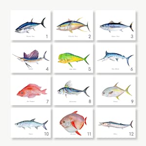 Saltwater Fish Wall Art, Ocean Fish Prints, Fishing Gifts, Angler Fish ...