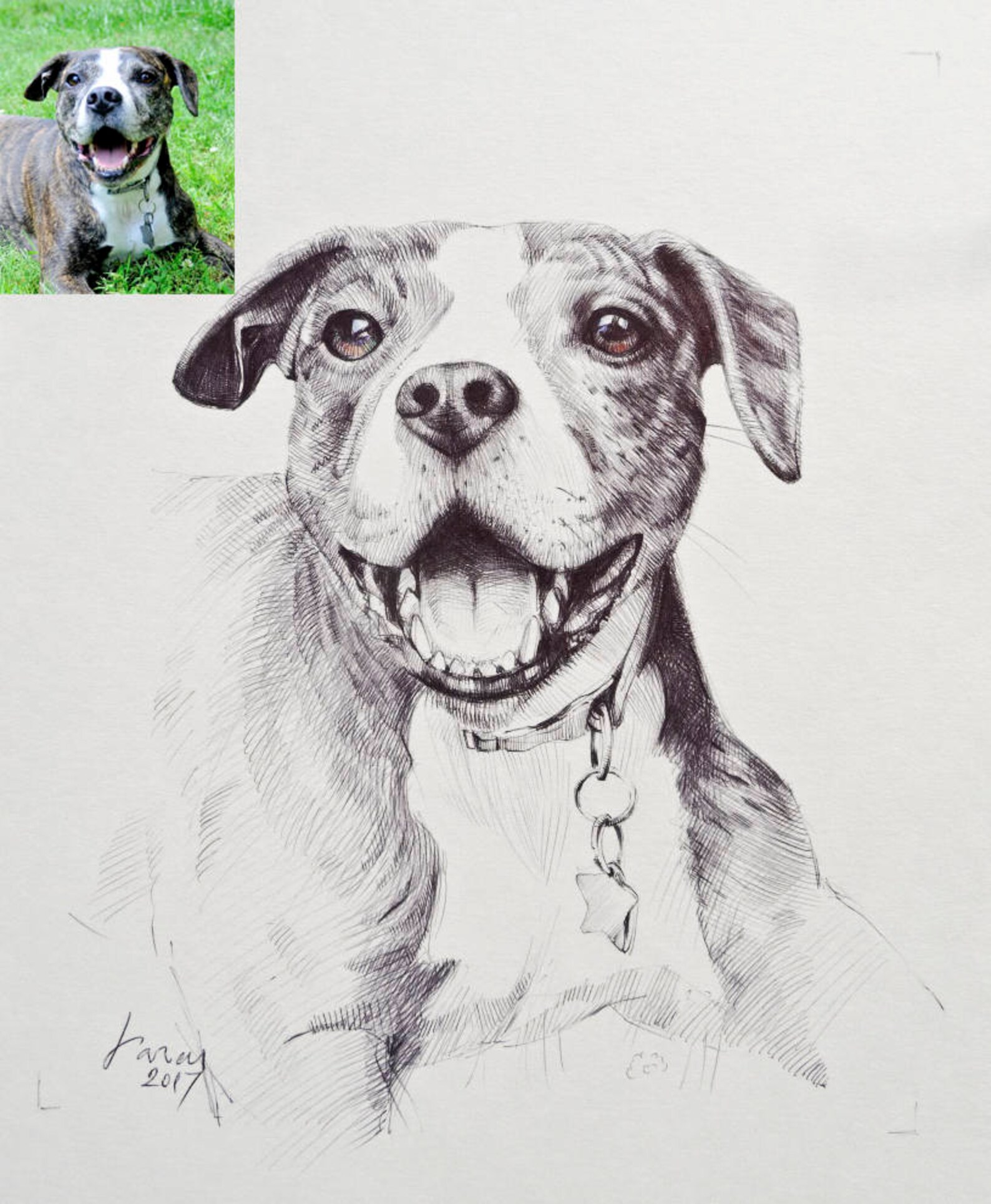 Pet Portrait Custom Pet Portrait Drawing From Photo Pet - Etsy