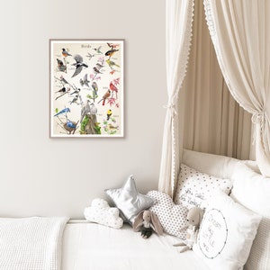 North American Birds Poster, Backyard and Wild Birds, Bird Painting ...