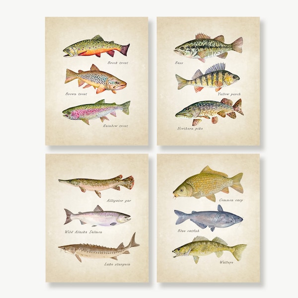 Freshwater Fish Art - Etsy