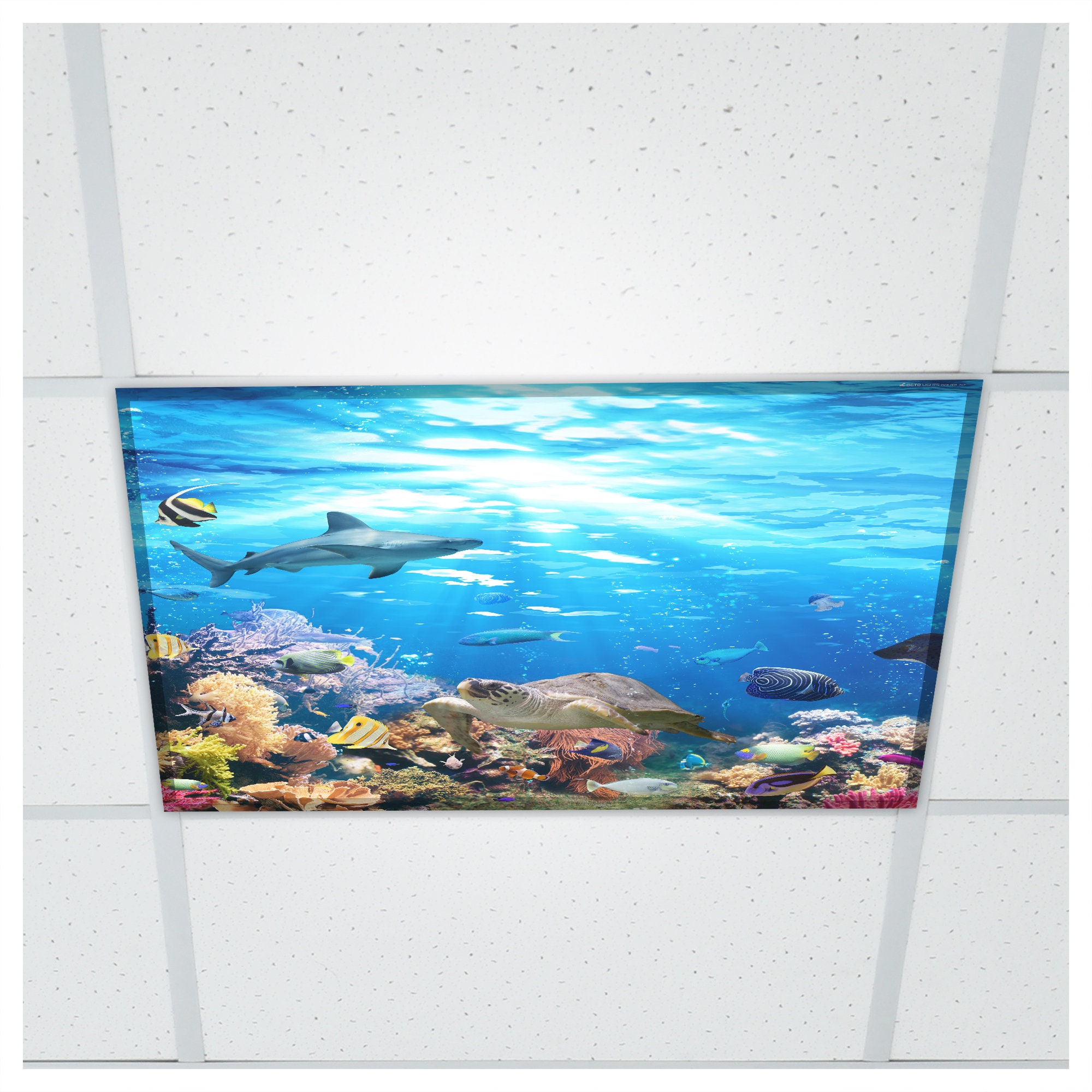 Octo Lights Classroom Fluorescent Light Covers Magnetic Ocean Coral ...