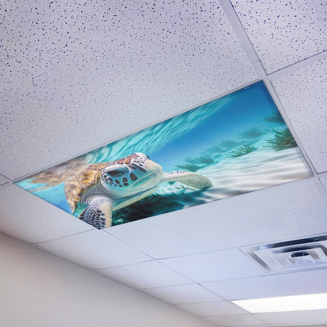 Octo Lights Classroom Fluorescent Light Covers Magnetic Ocean Turtle ...
