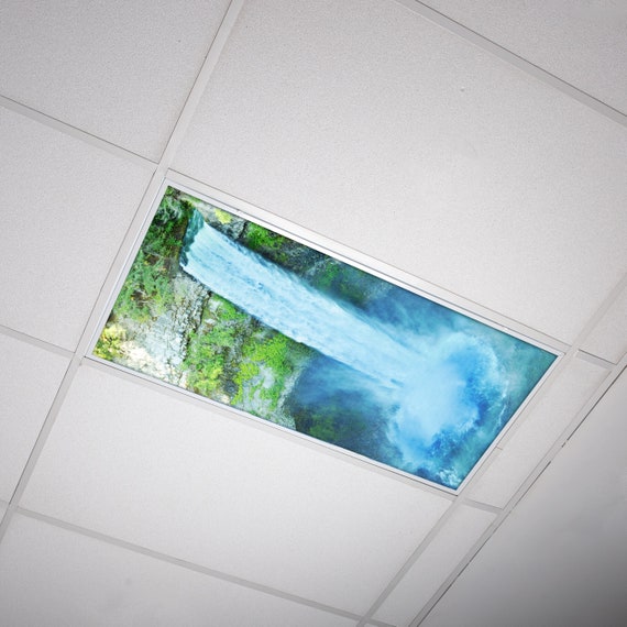 Fluorescent Light Covers Office