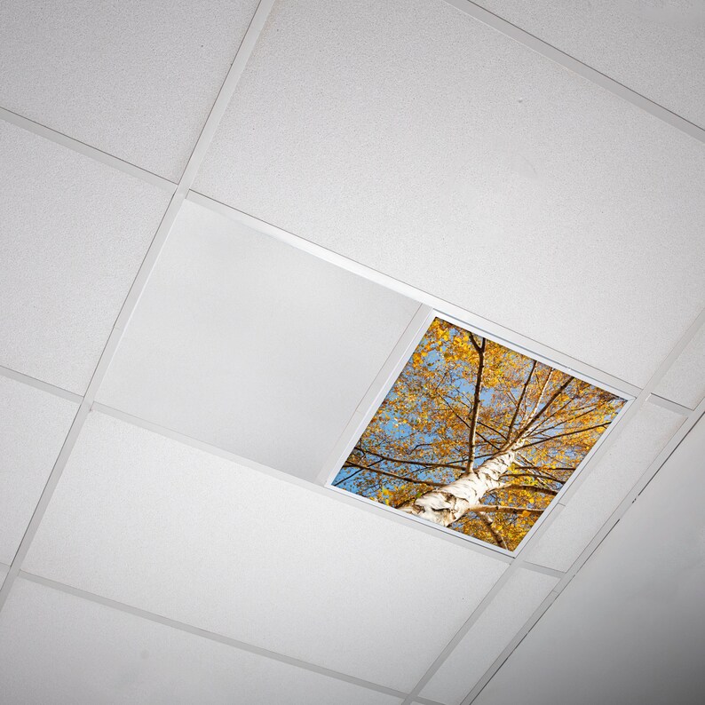 Fluorescent Light Covers Fluorescent Light Filters for | Etsy