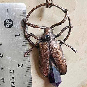 Amethyst Beetle Pendant Real Preserved California Borer Beetle Copper ...