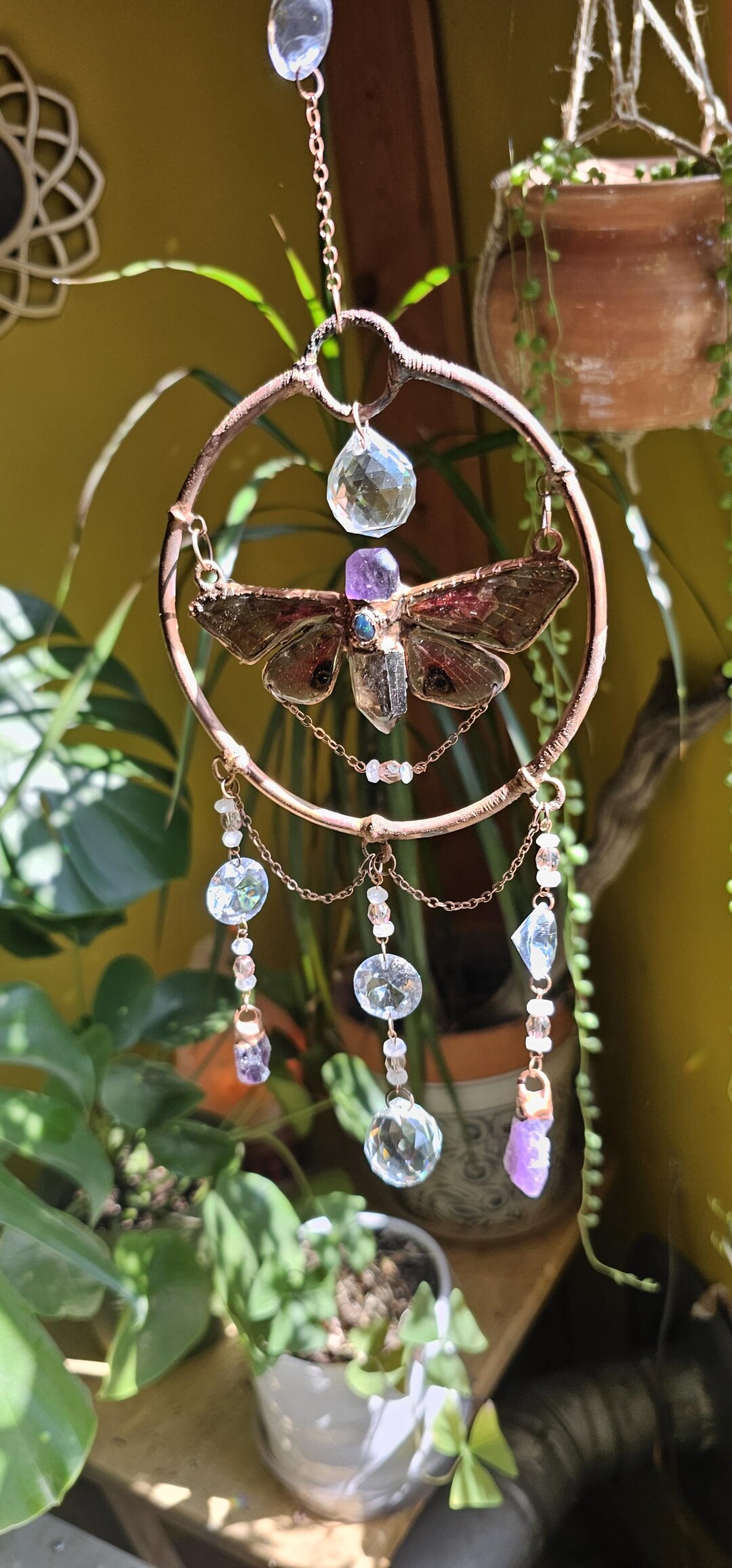 Real Moth Crystal Suncatcher - Copper Electroformed Bohemian Wall ...